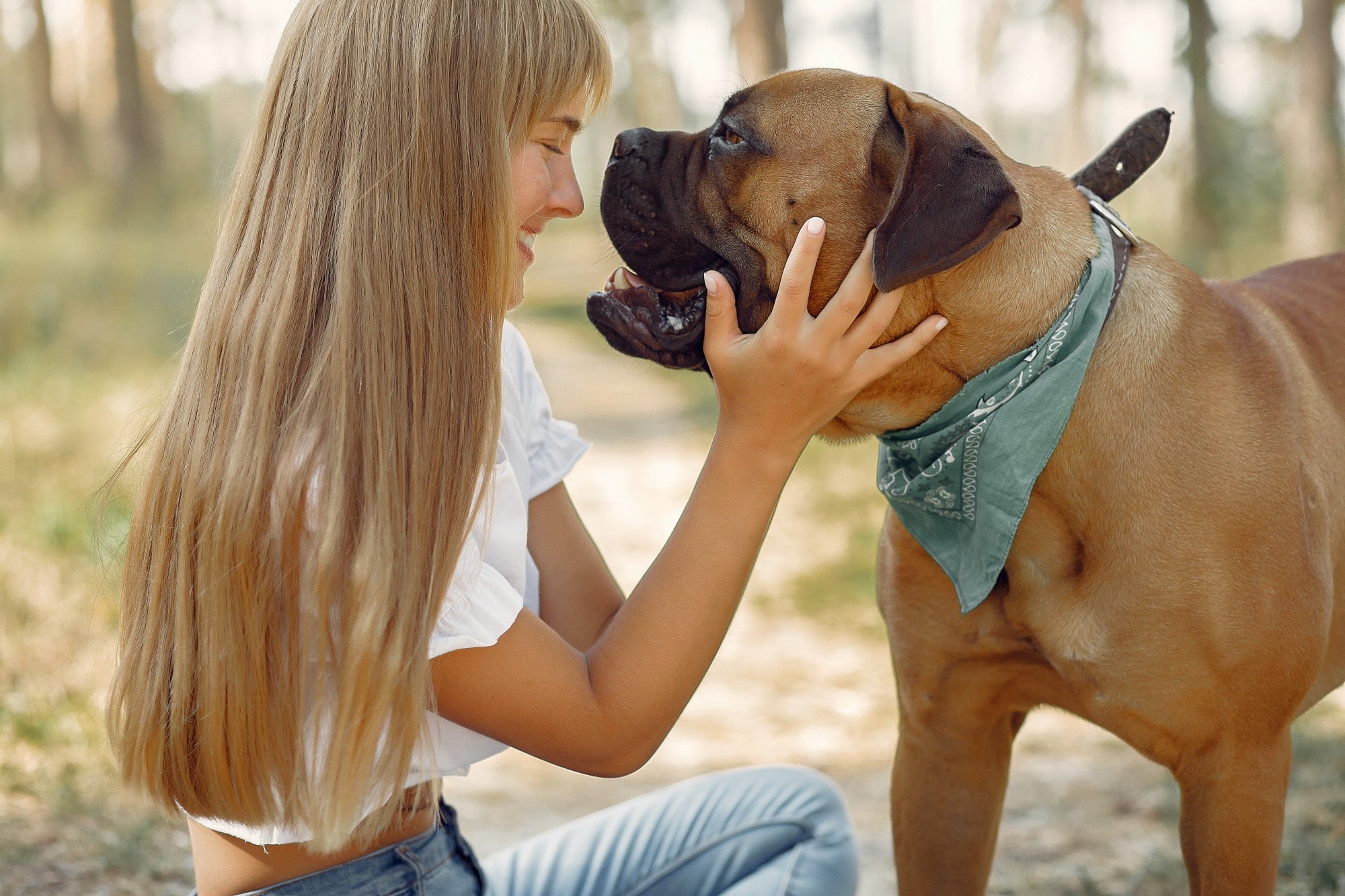 Dogs Protective Instincts: Will They Protect Their Owners? Insights ...